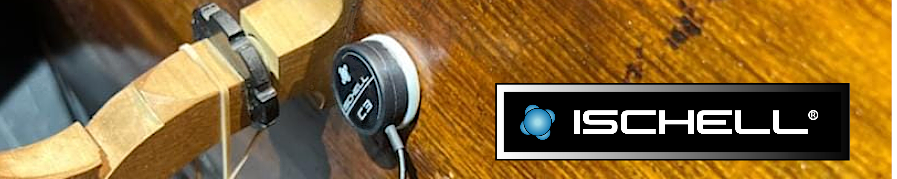 Amazon.fr: ISCHELL Microphones