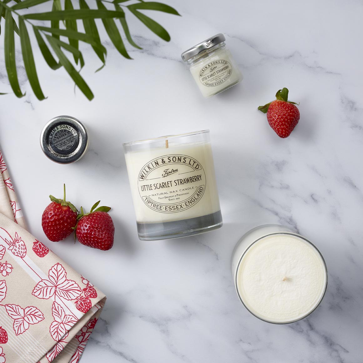 Amazon.co.uk: Tiptree: Miniature Candle Selections
