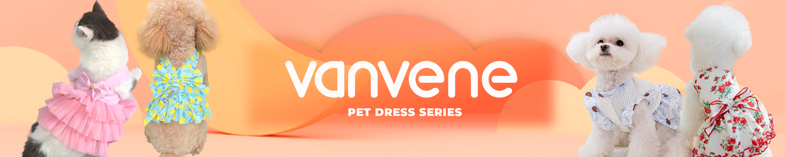 Amazon.co.uk: VANVENE: Pet Sweater