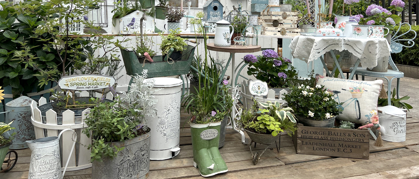 Amazon.co.uk: All Chic Home & Garden