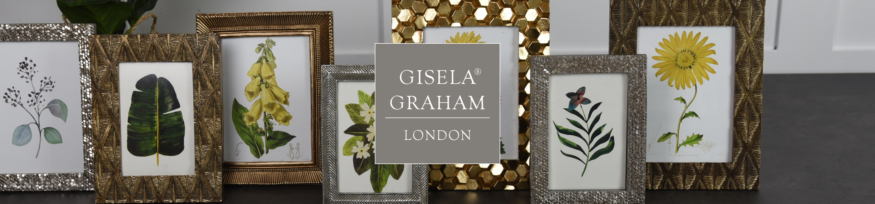 Amazon.co.uk: Gisela Graham: Frames