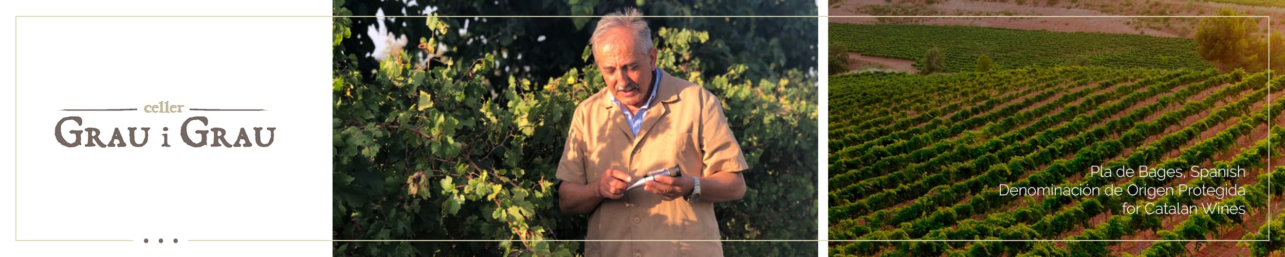 Amazon.co.uk: Celler Grau i Grau: Vermouth