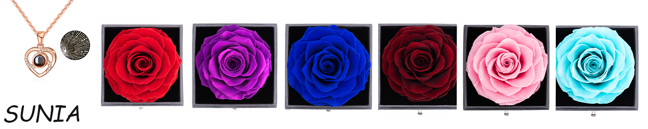 Amazon.co.uk: Eternal rose Eternal love: I love you 100 languages