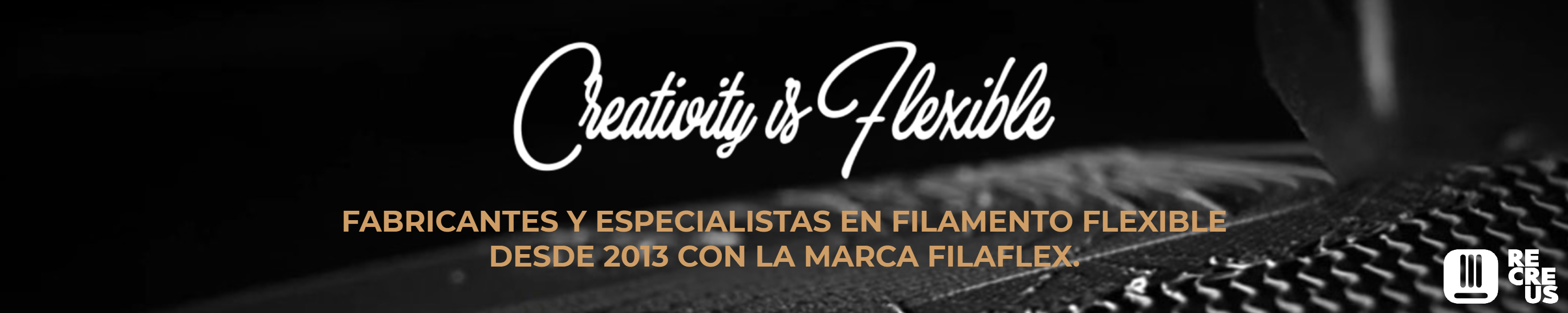 Amazon.es: Recreus: FILAFLEX 60A