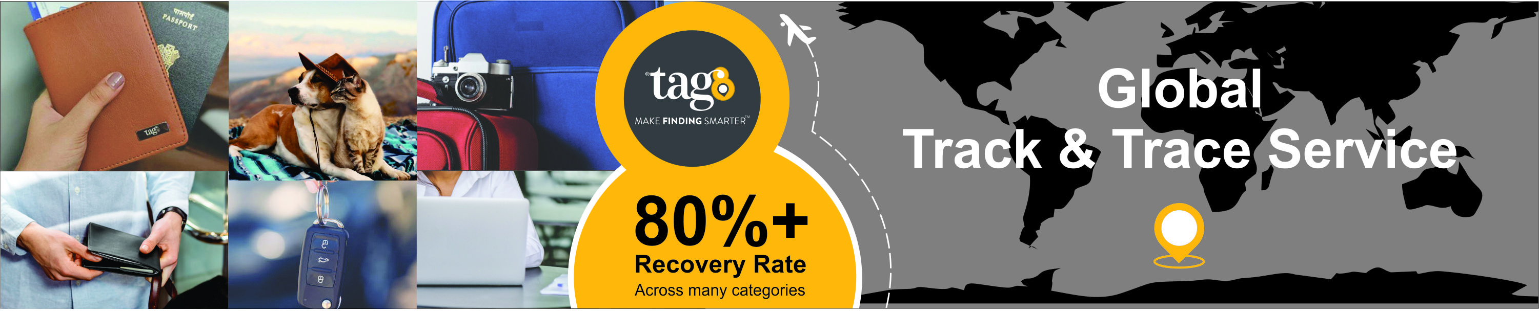 Amazon.in: tag8: Dolphin Tracker