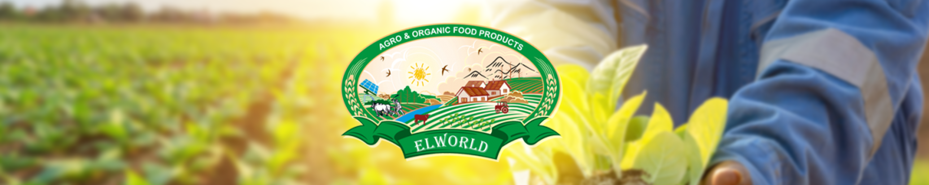 Amazon.in: ELWORLD AGRO & ORGANIC FOOD PRODUCTS: Spices