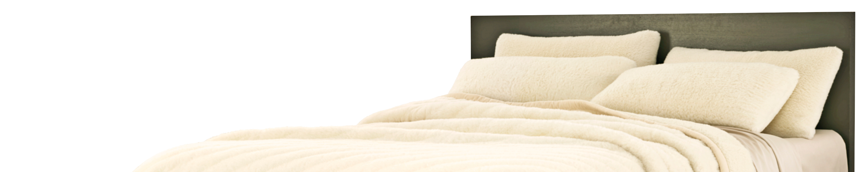 Amazon.it: Bontex S.r.l.: Woolly