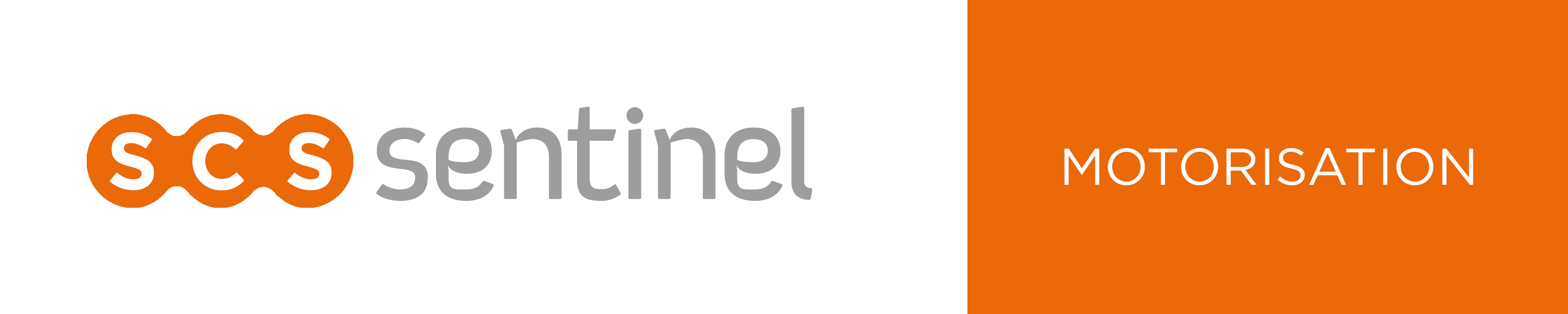 Amazon.fr: SCS Sentinel: Motorisation de portail