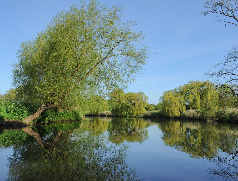 Amazon.co.uk: TFS Angling