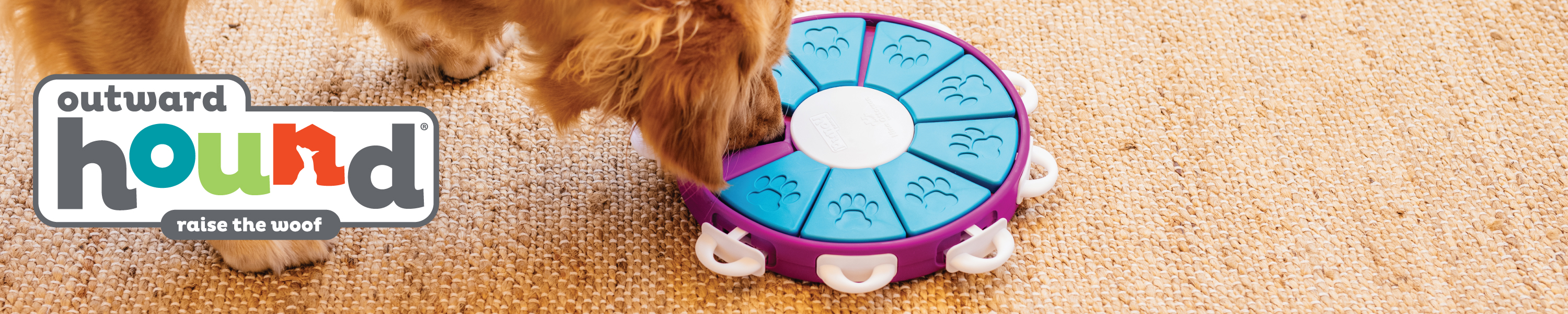 Amazon.co.uk: Outward Hound