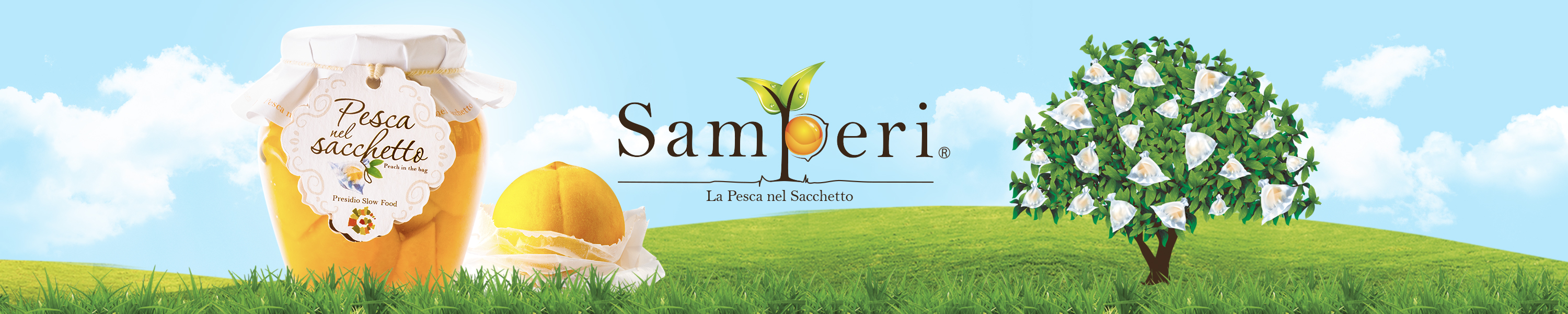 Amazon.co.uk: Samperi