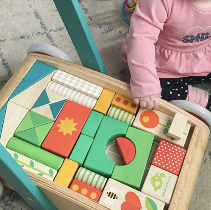 Amazon.co.uk: Tender Leaf Toys: Toddler Toys