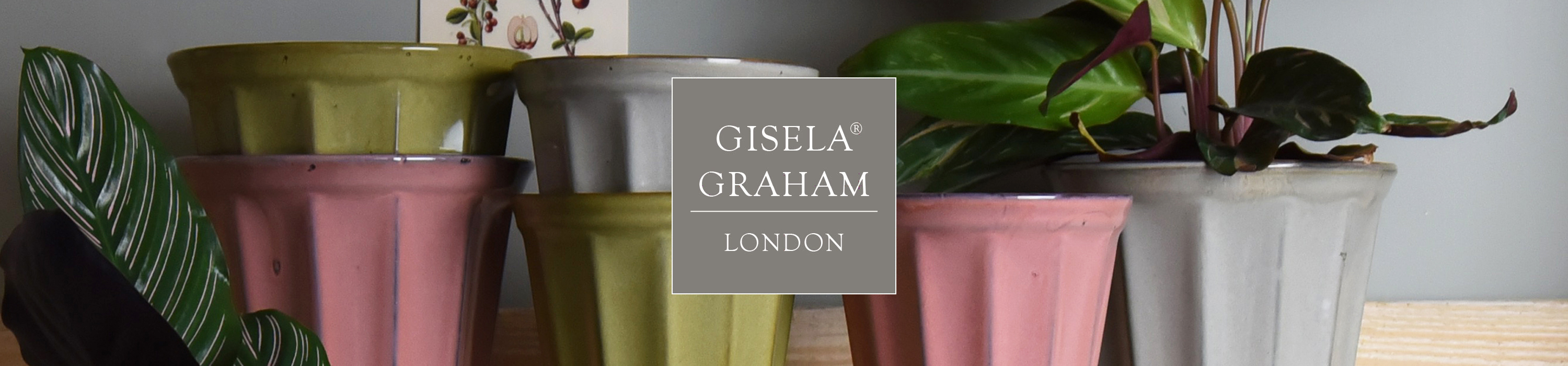 Amazon.co.uk: Gisela Graham: Plant Pots