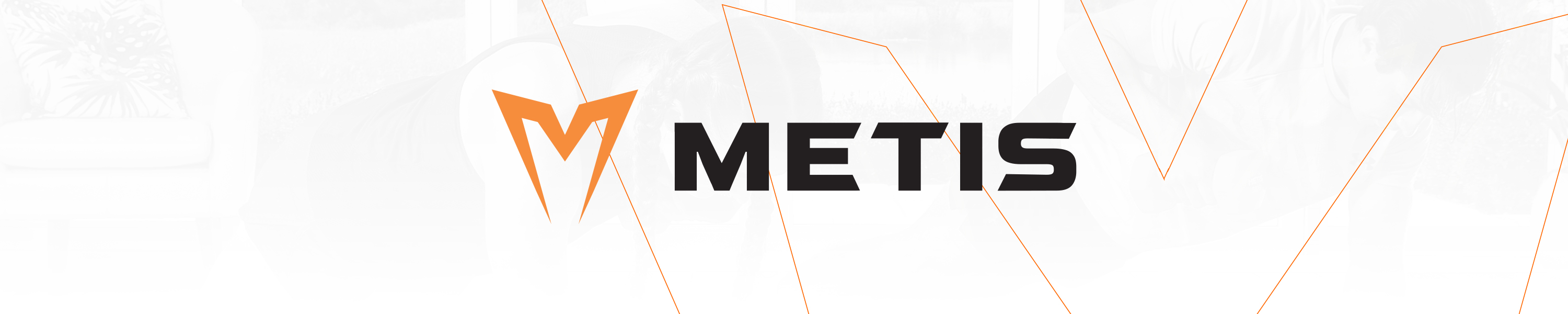 Amazon.co.uk: METIS: Weights & Bars