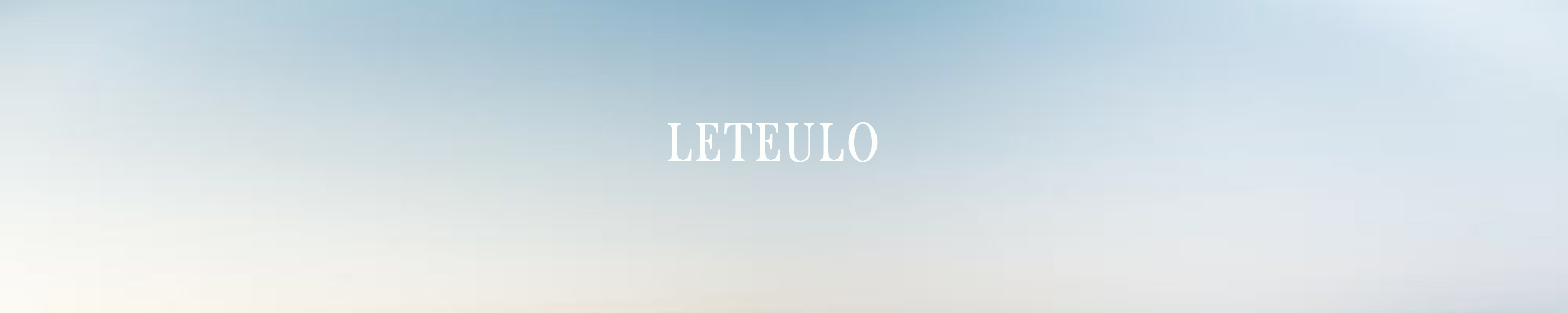 Amazon.de: LETEULO: KARTENETUIS