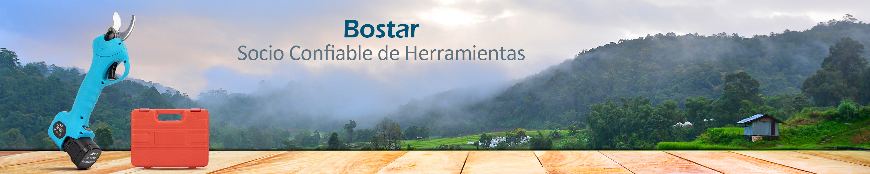 Amazon.es: Bostar