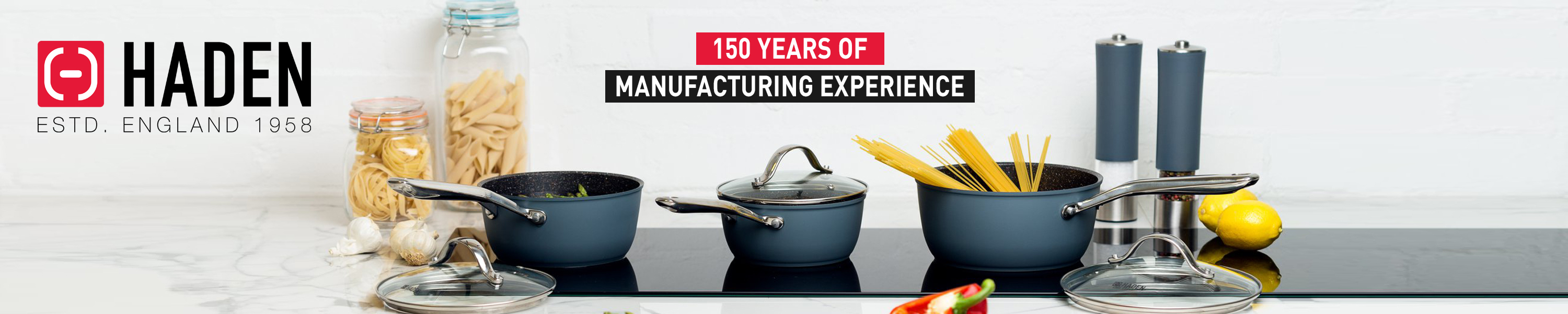 Amazon.in: Haden: Slow Cooker