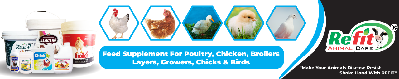 Amazon.in: REFIT ANIMAL CARE: Poultry Products