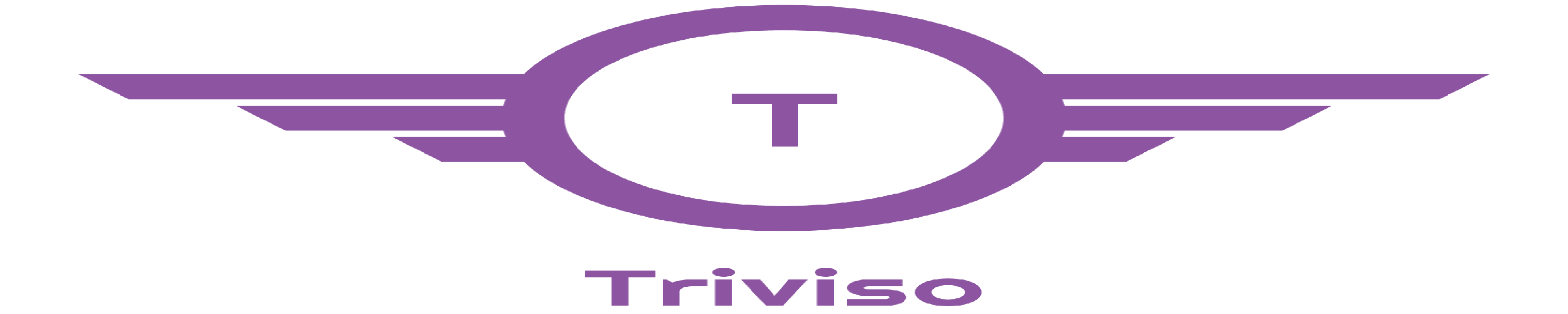 Amazon.in: Triviso