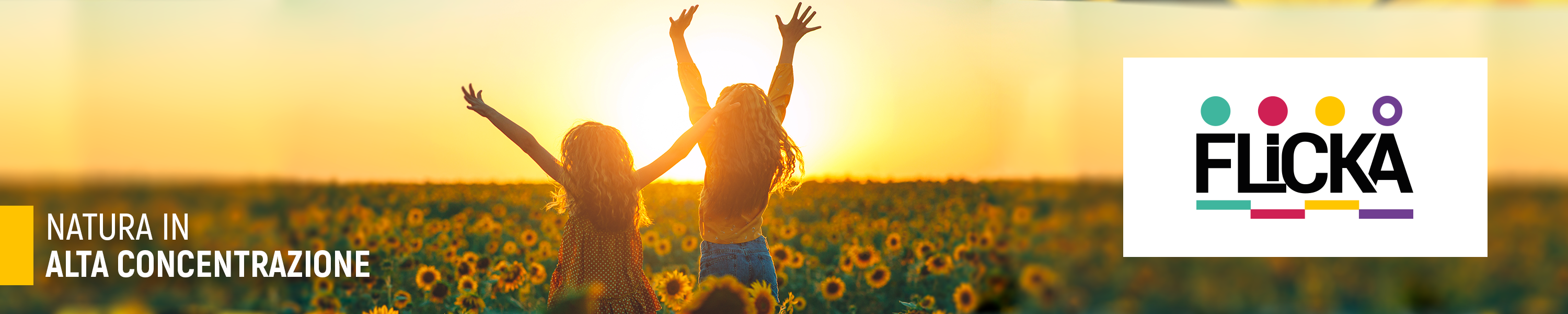 Amazon.it: Flicka, arnica for wellness: ARNICHE GEL