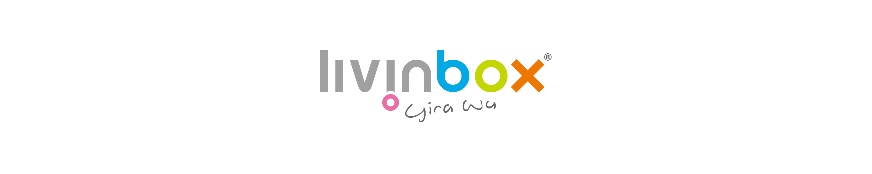 Amazon.co.uk: livinbox: Folding storage box