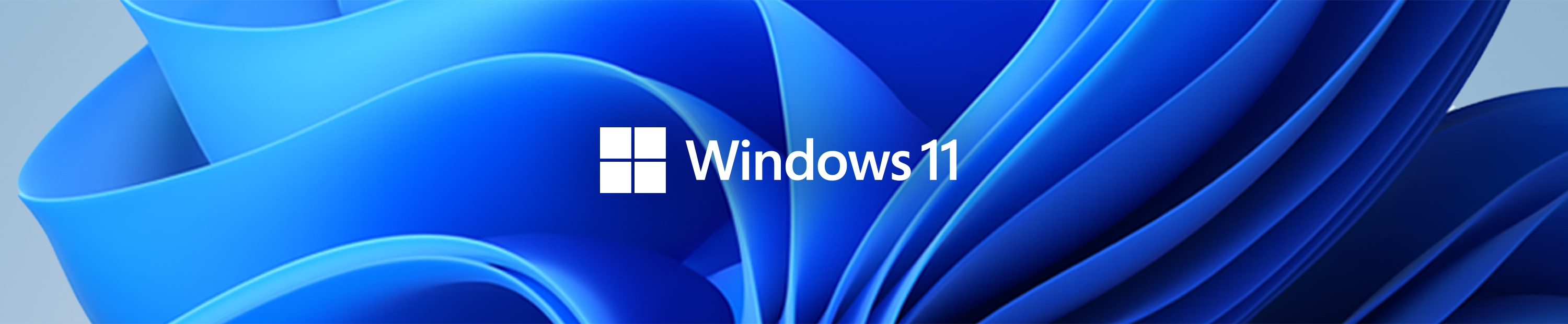 Amazon.co.uk: Microsoft: Windows 11