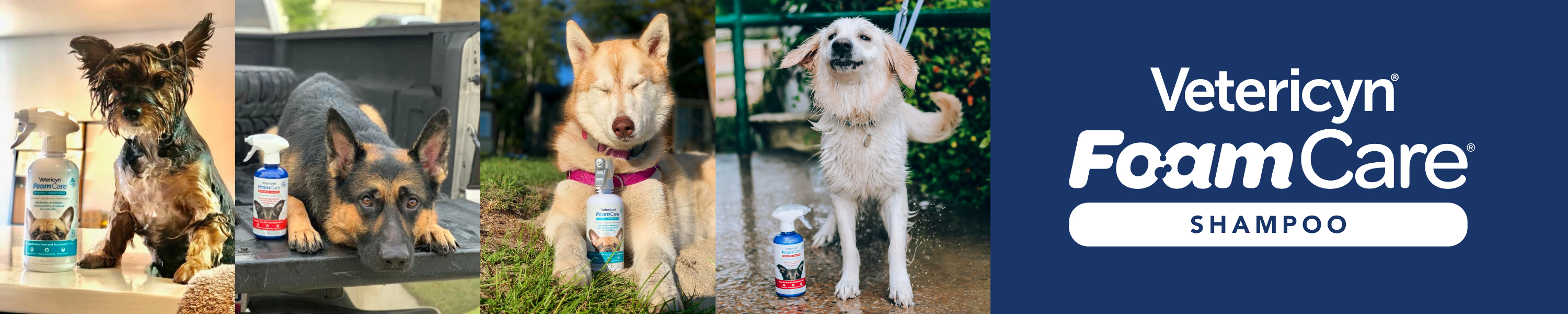 Amazon.co.uk: Vetericyn Animal Wellness: Shampoo