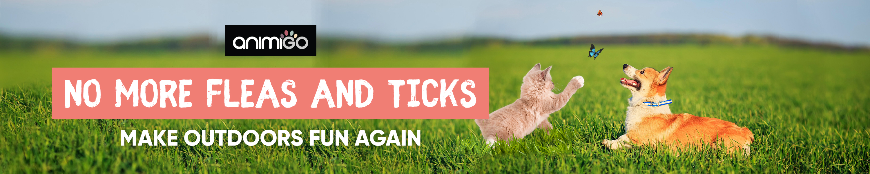 Amazon.co.uk: animigo: Flea & Tick