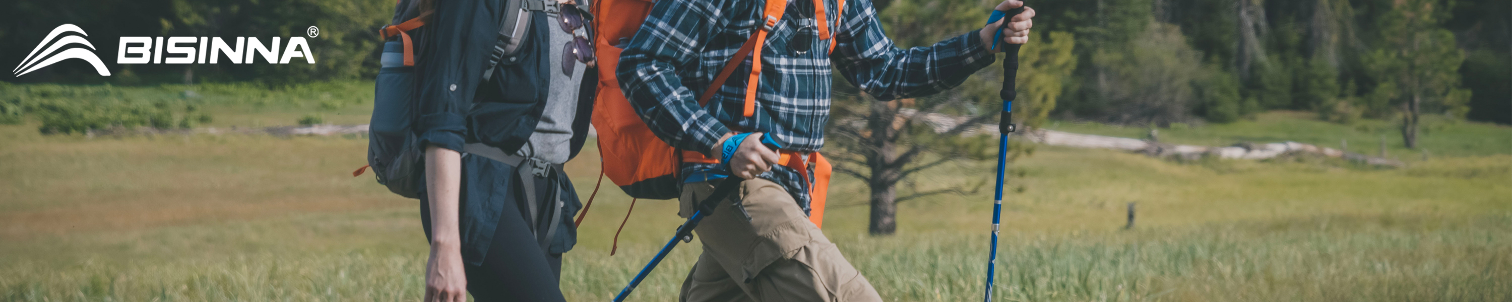 Amazon.co.uk: BISINNA: TREKKING POLE