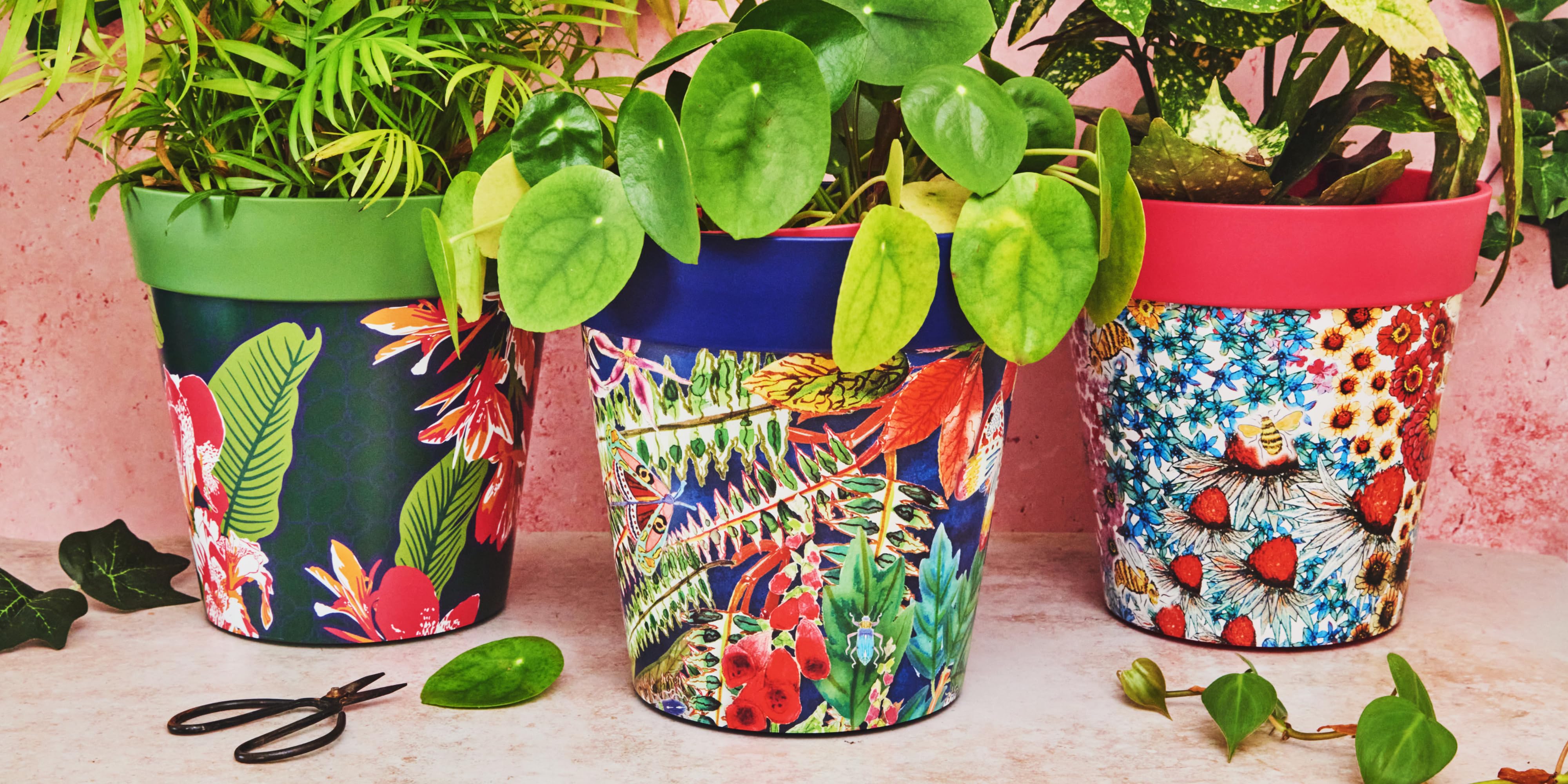 Amazon.co.uk: Hum Flowerpots
