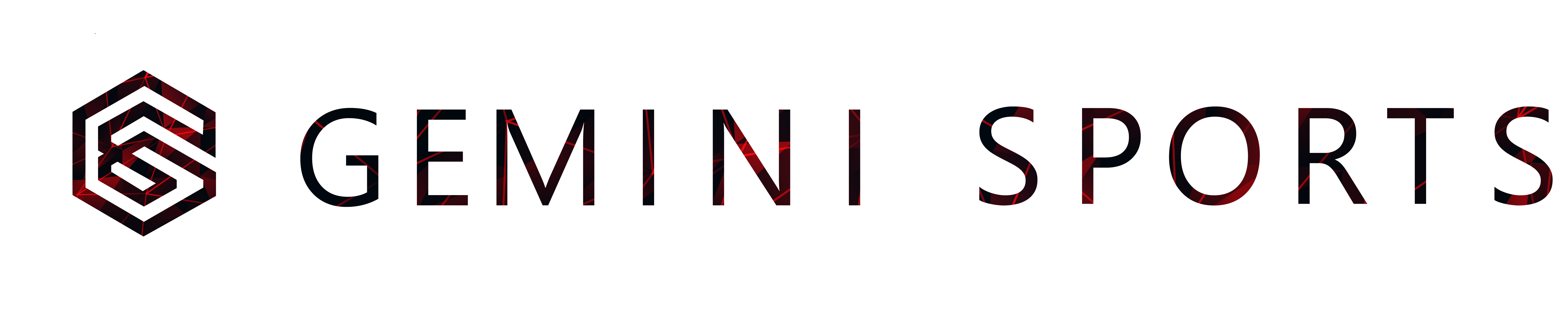 Amazon.de: Gemini Sports