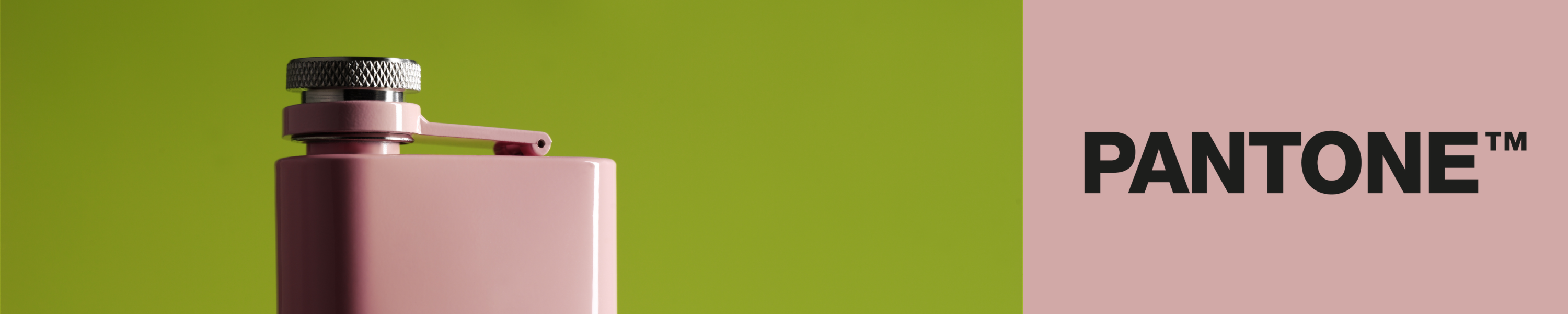 Amazon.de: Pantone: Flachmänner