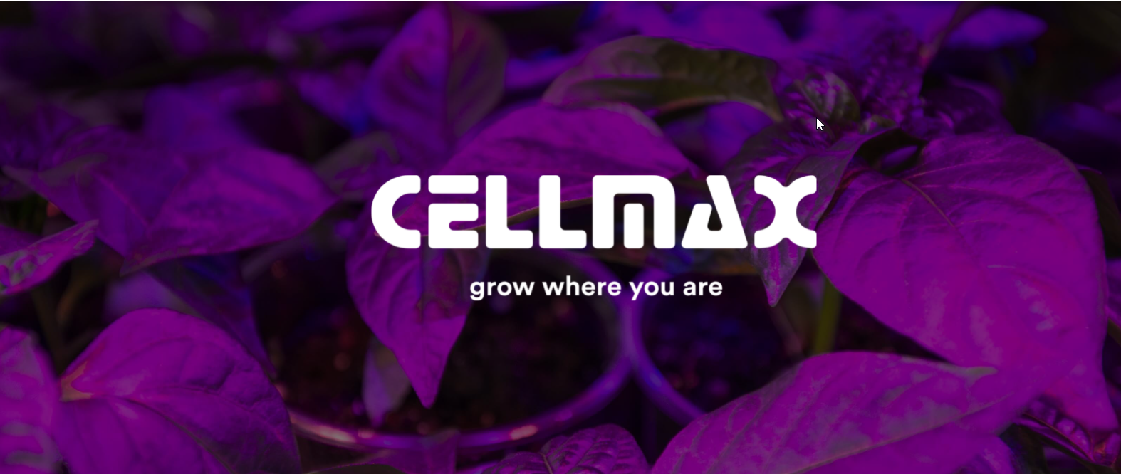 Amazon.de: CELLMAX