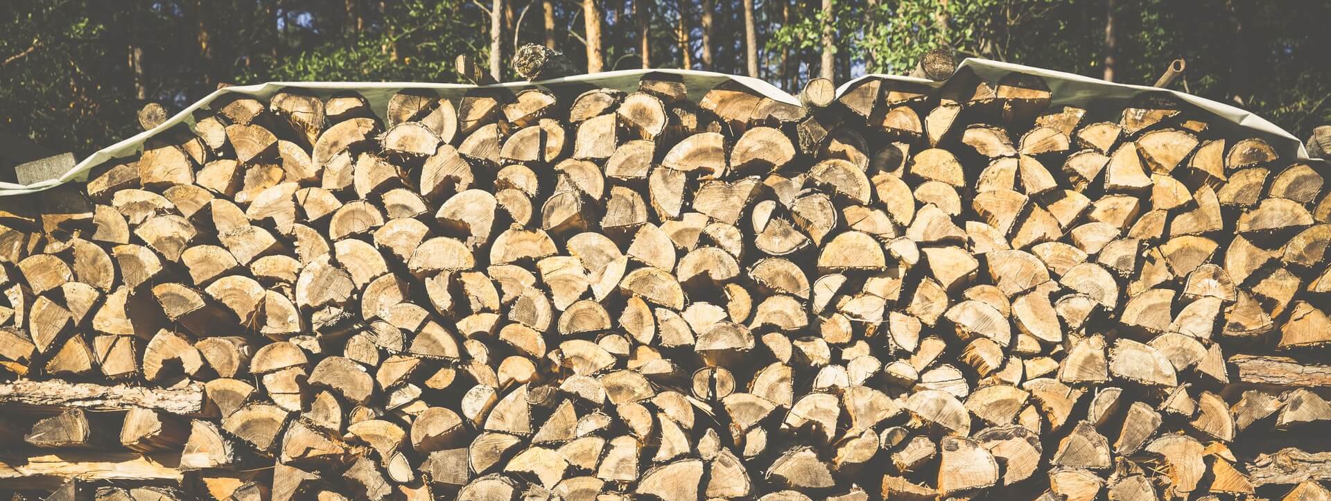 Amazon.de: WOODLOGGER