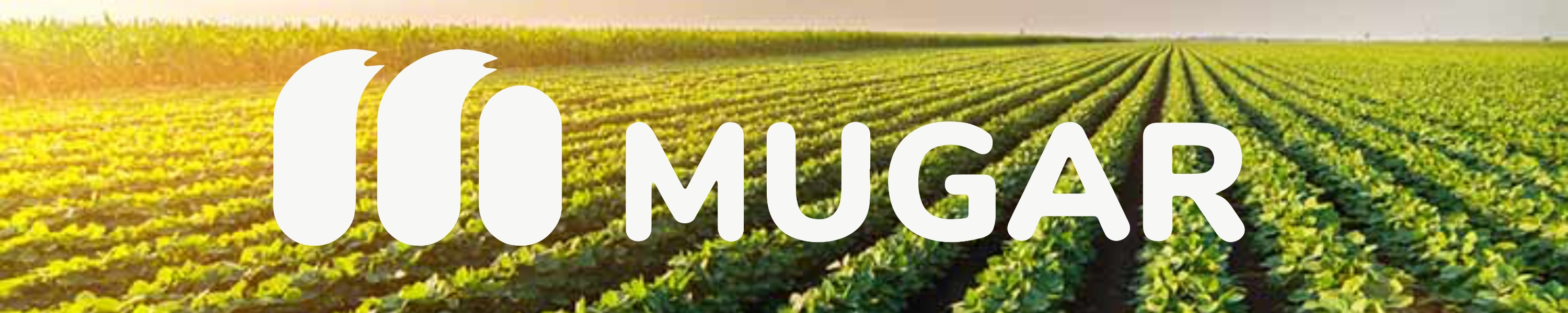 Amazon.es: Mugar: AGRICULTURA