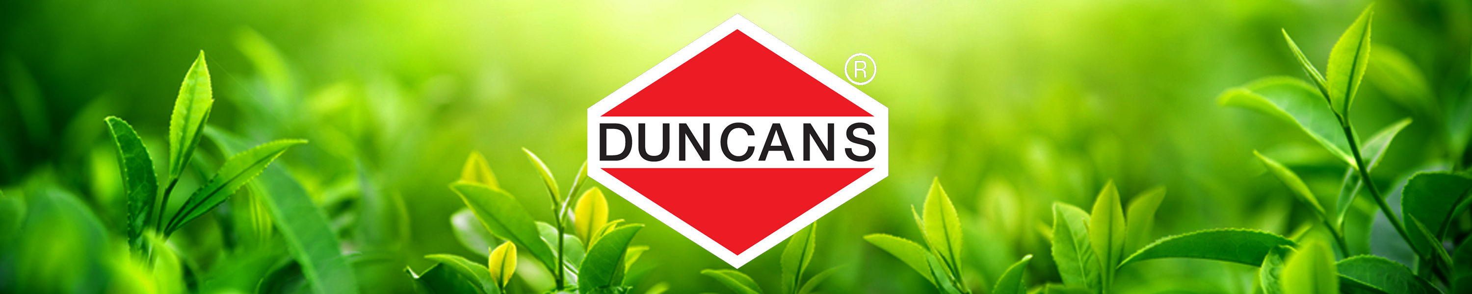 Amazon.in: Duncans