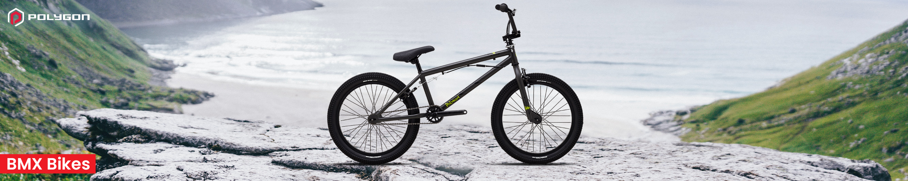 Amazon.in: POLYGON: BMX