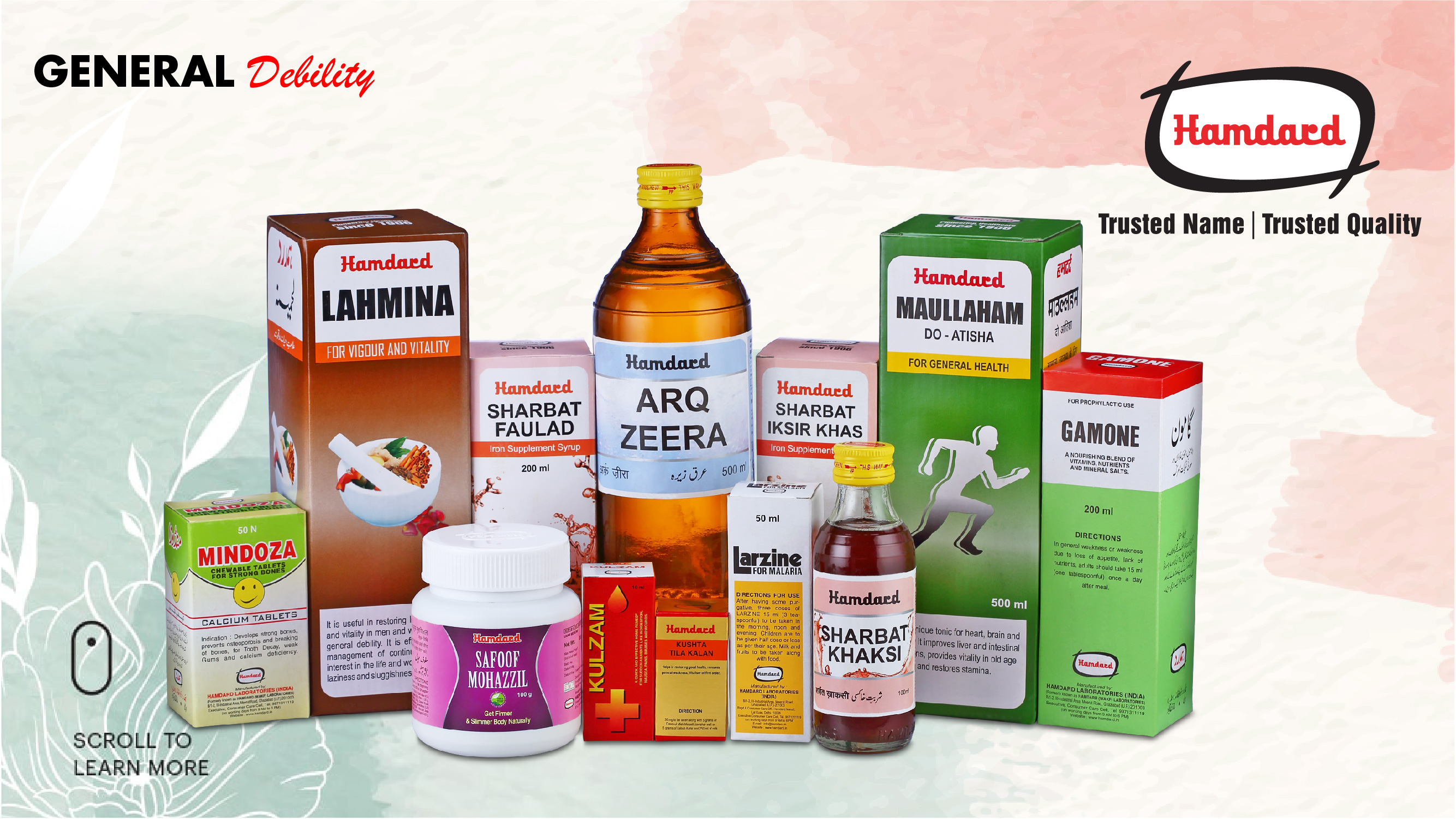 Amazon.in: Hamdard Laboratories India: General Debility