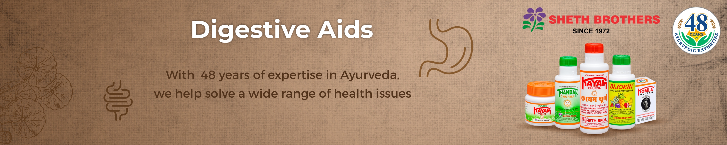 Amazon.in: Sheth Brothers - Since 1972: Digestive Aids