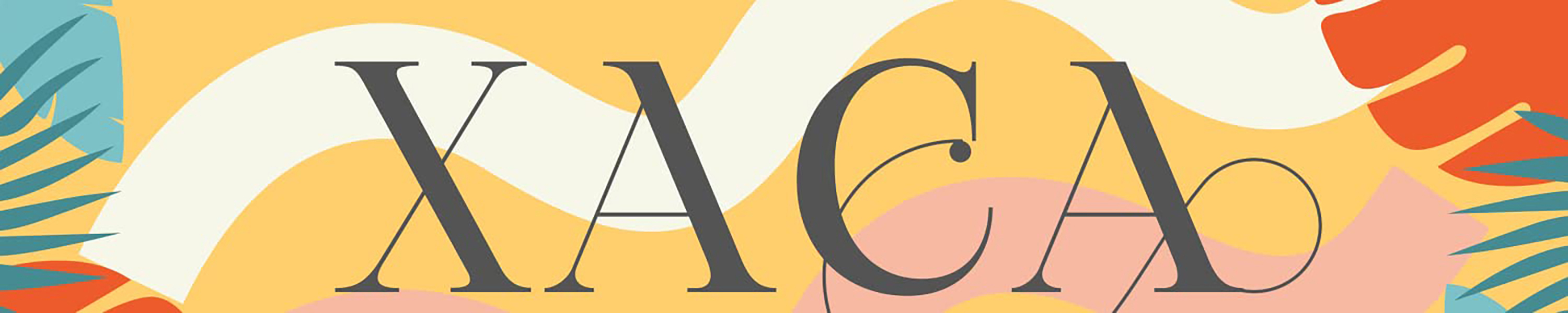 Amazon.in: XACA: Beauty Accessories