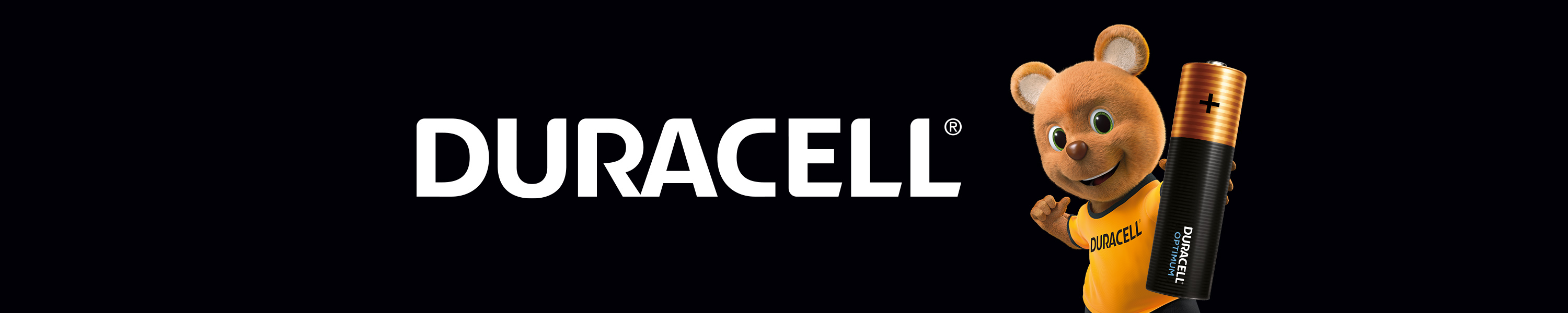 Amazon.com.tr: Duracell: Alkalin