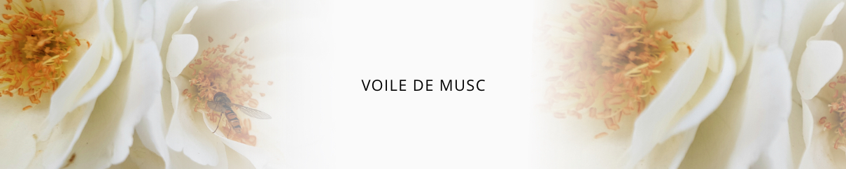 Amazon.fr: Mon Bijou Secret: Voile de musc
