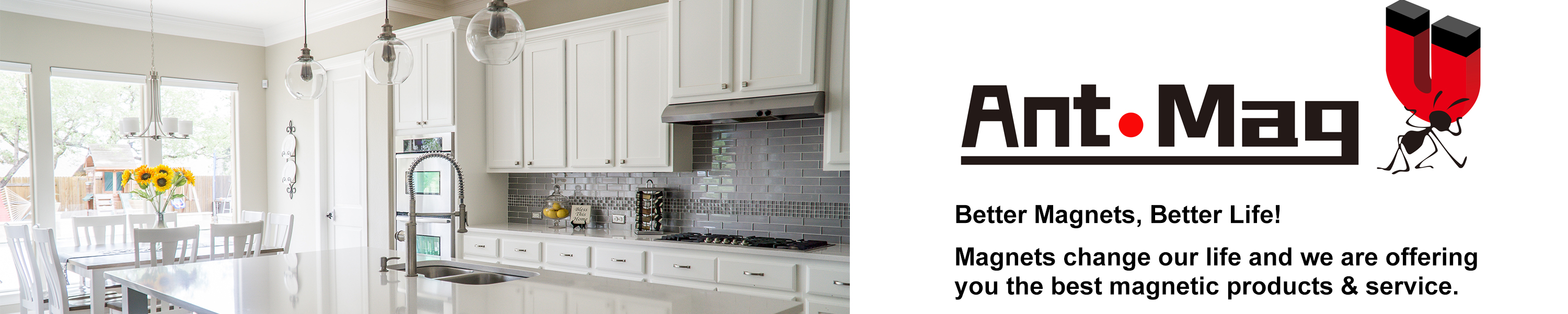 Amazon.co.uk: Ant Mag