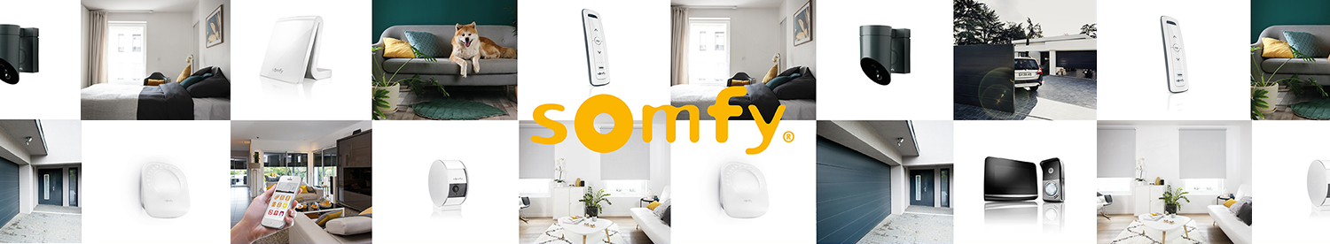 Amazon.co.uk: somfy: somfy