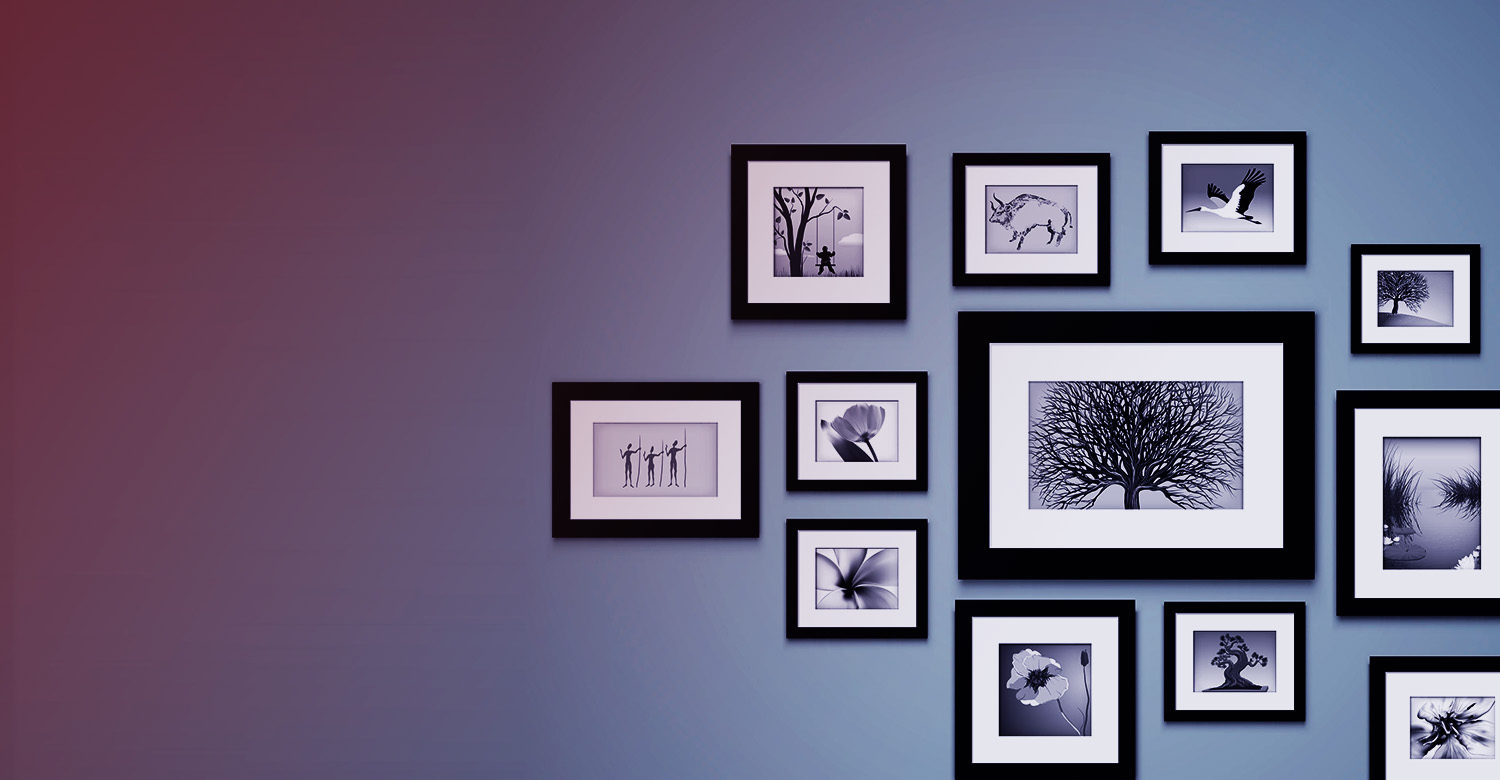 Amazon.co.uk: Boldon Framing: Black Frames