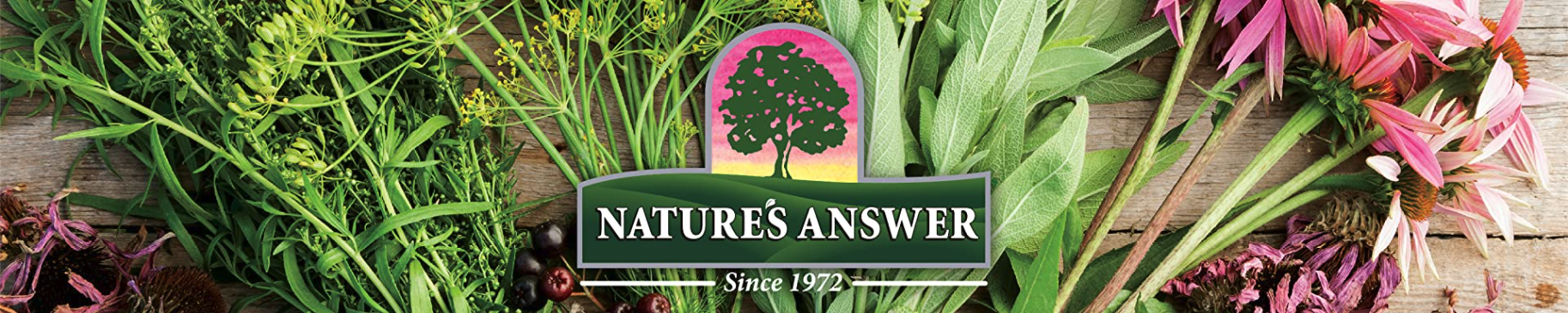 Amazon.co.uk: Nature's Answer: LIQUID EXTRACTS