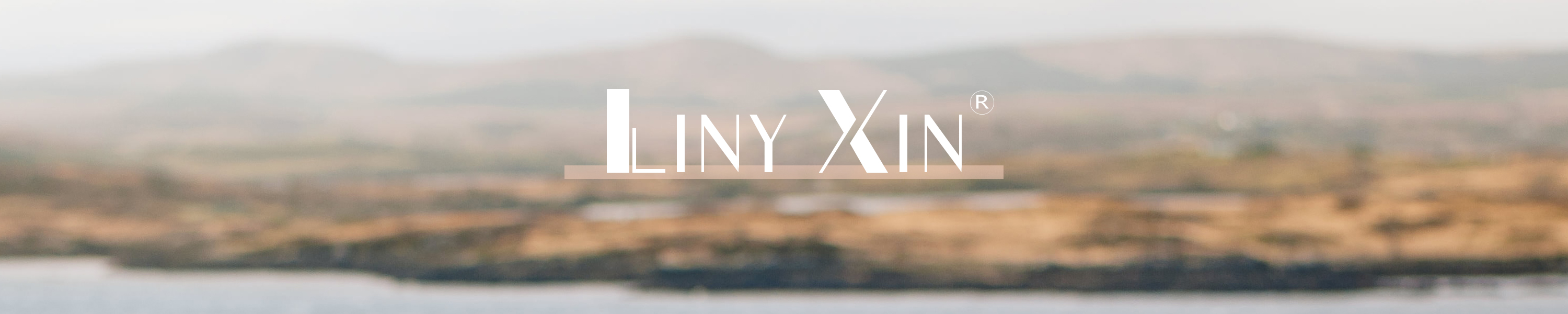 Amazon.co.uk: Liny Xin: Scarfs
