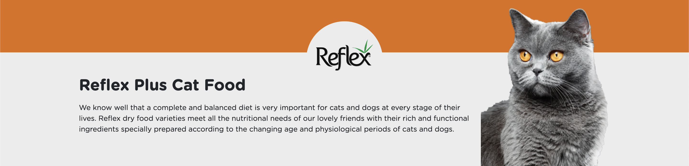Amazon.co.uk: Reflex Plus: Cat Food
