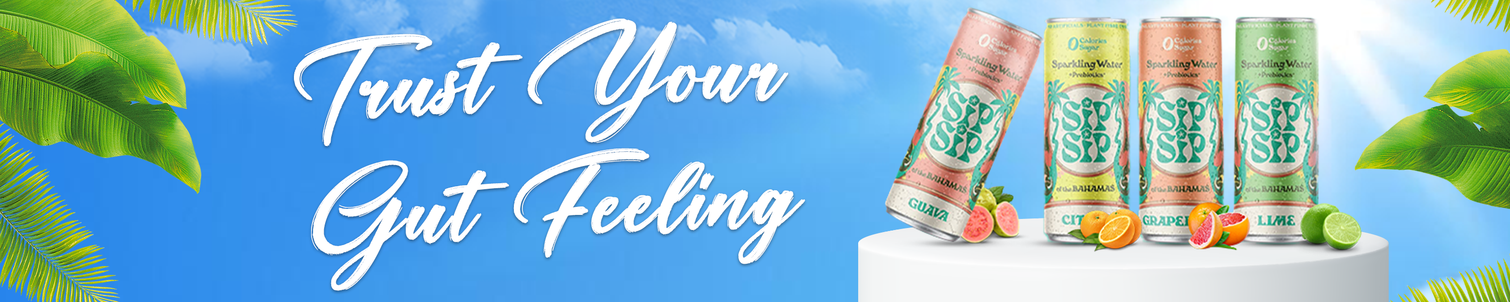 Amazon.co.uk: SIP SIP: PRODUCTS