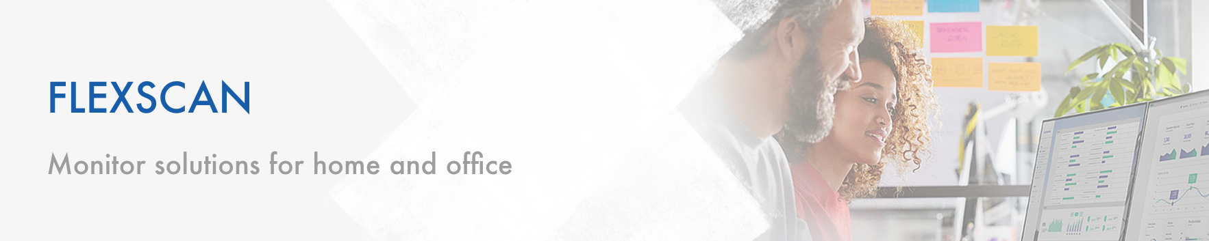 Amazon.co.uk: EIZO: FlexScan | Monitor solutions for business